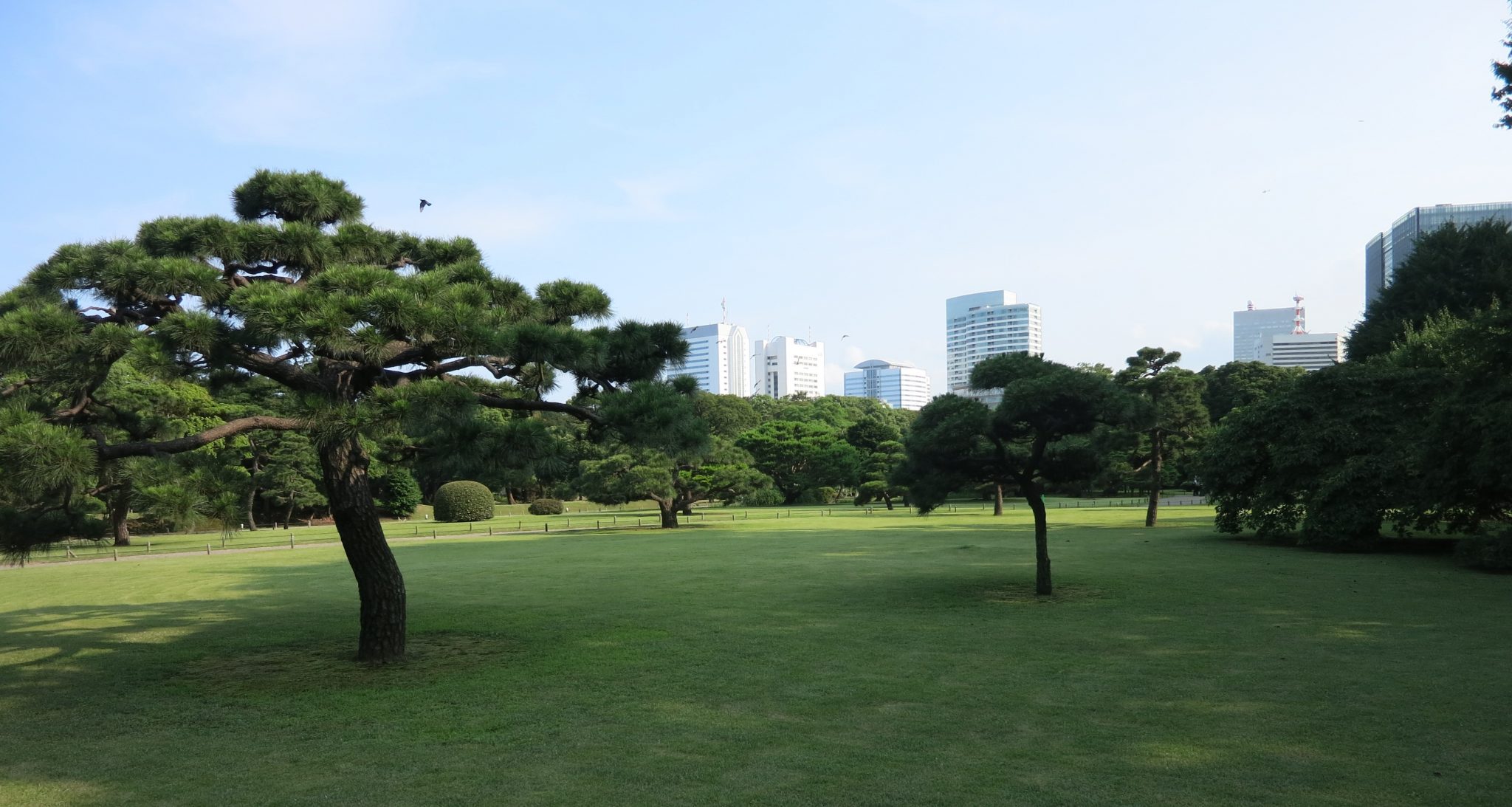 5 Tokyo Gardens - Rachel's Ruminations