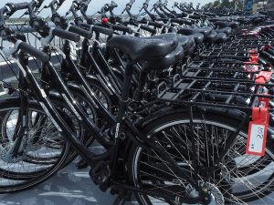 Boat Bike Tours: A review of "Hansa Highlights" - Rachel's Ruminations